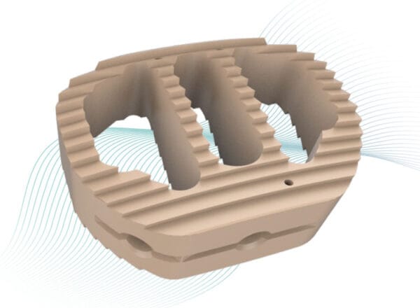 CAGE ALIF - Surgicol